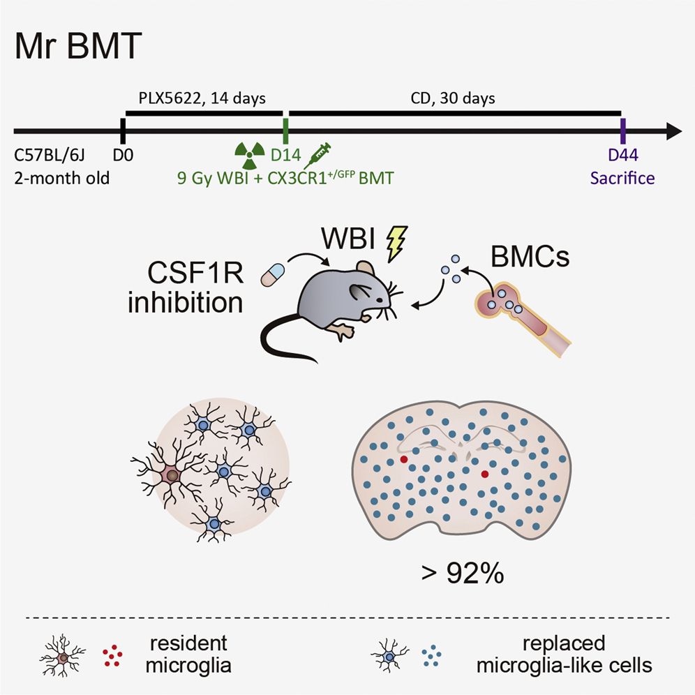 Cell Press: STAR Protocols