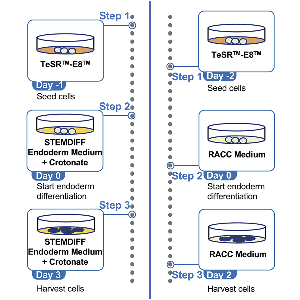 Cell Press: STAR Protocols