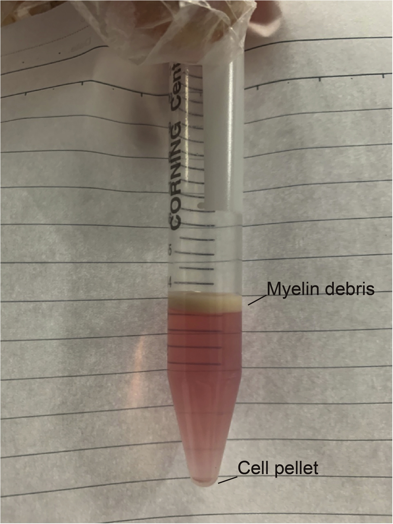 Cell Press: STAR Protocols