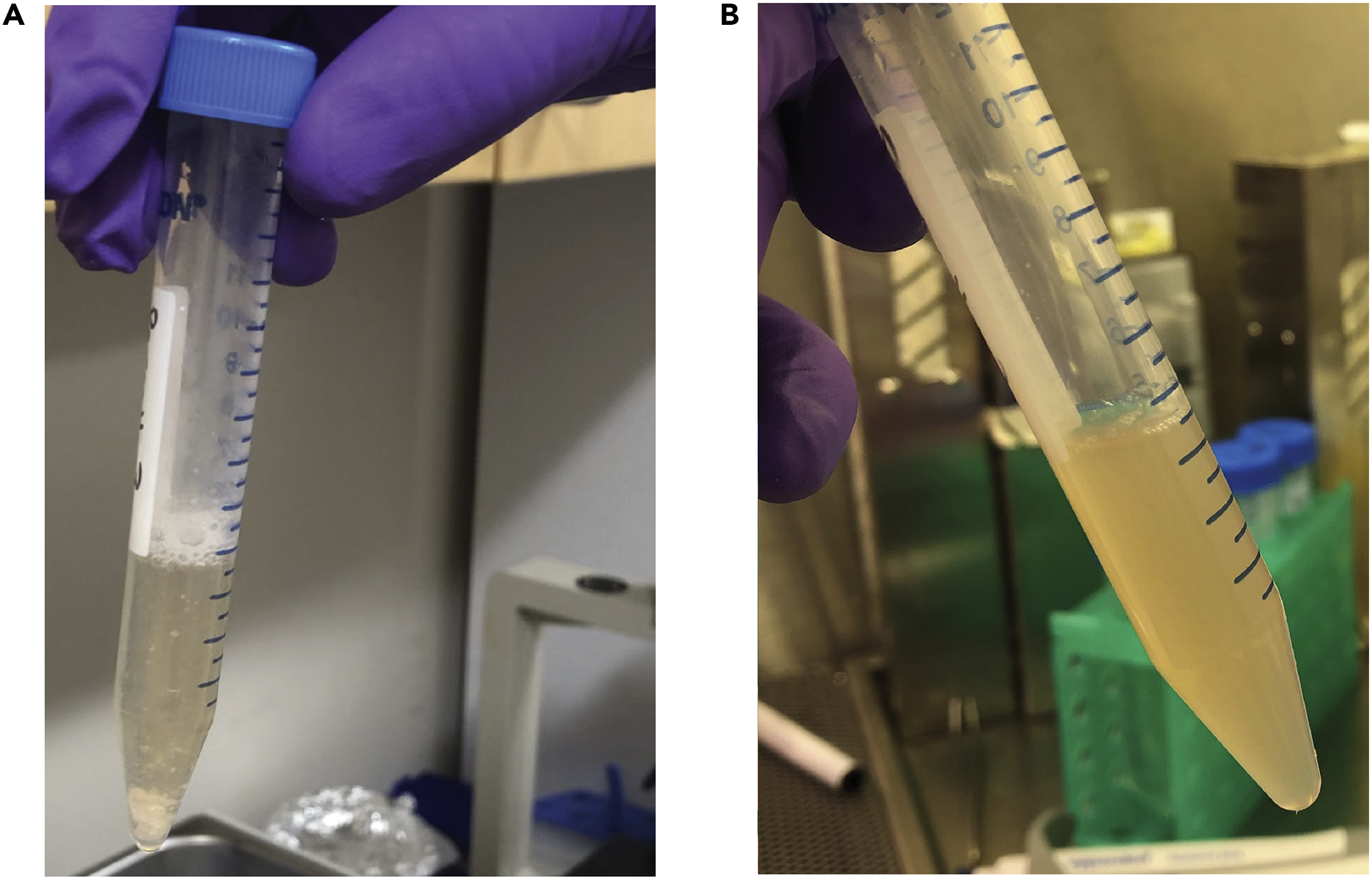 Cell Press: STAR Protocols