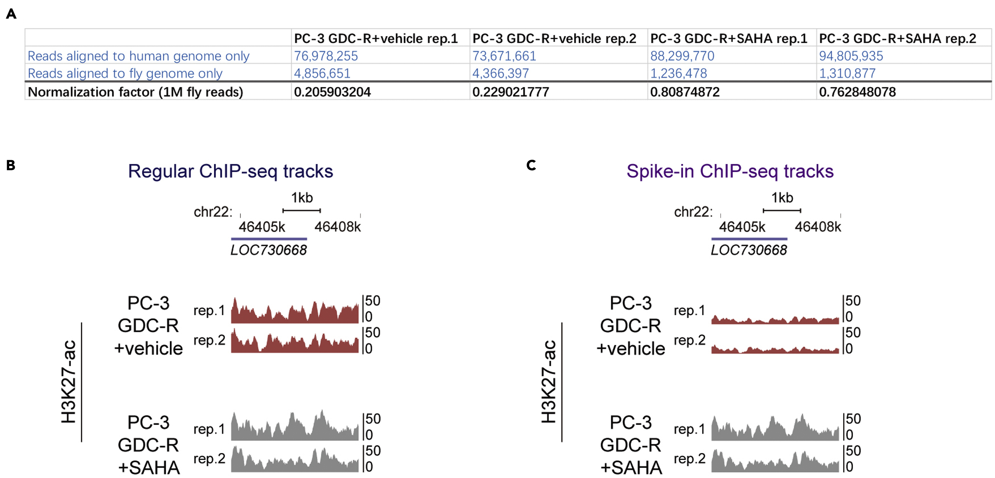Cell Press: STAR Protocols
