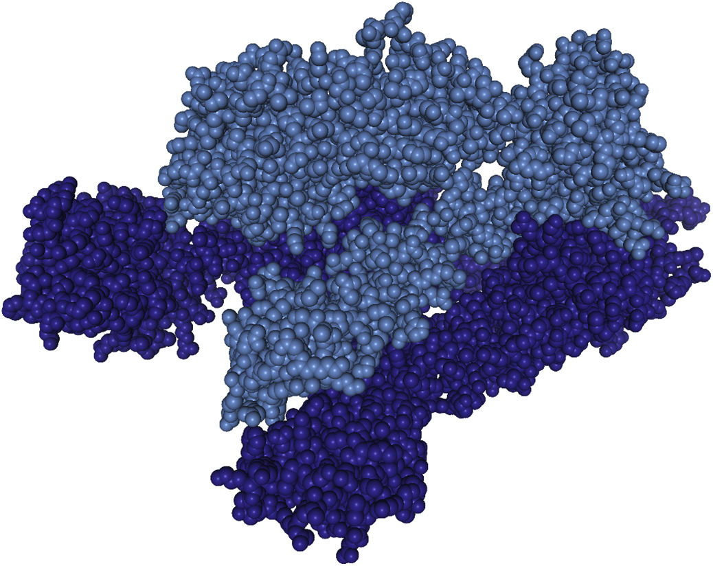Cell Press: STAR Protocols