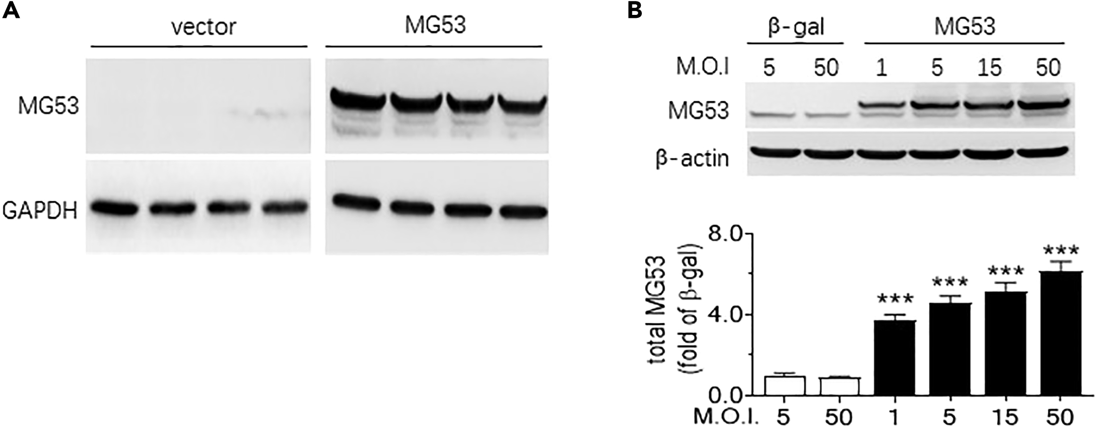 Cell Press: STAR Protocols