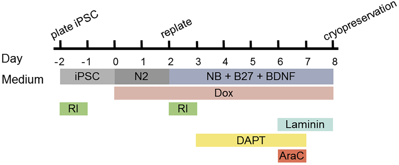 Cell Press: STAR Protocols