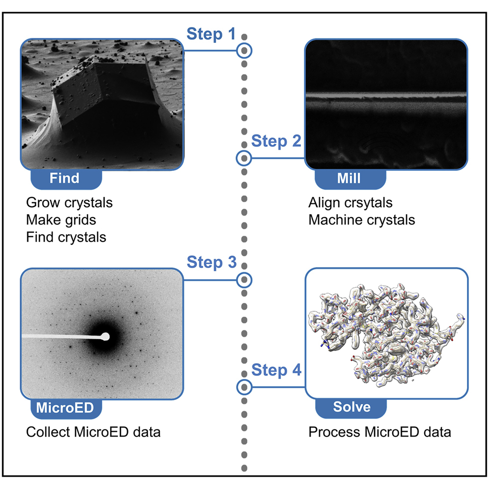 Cell Press: STAR Protocols