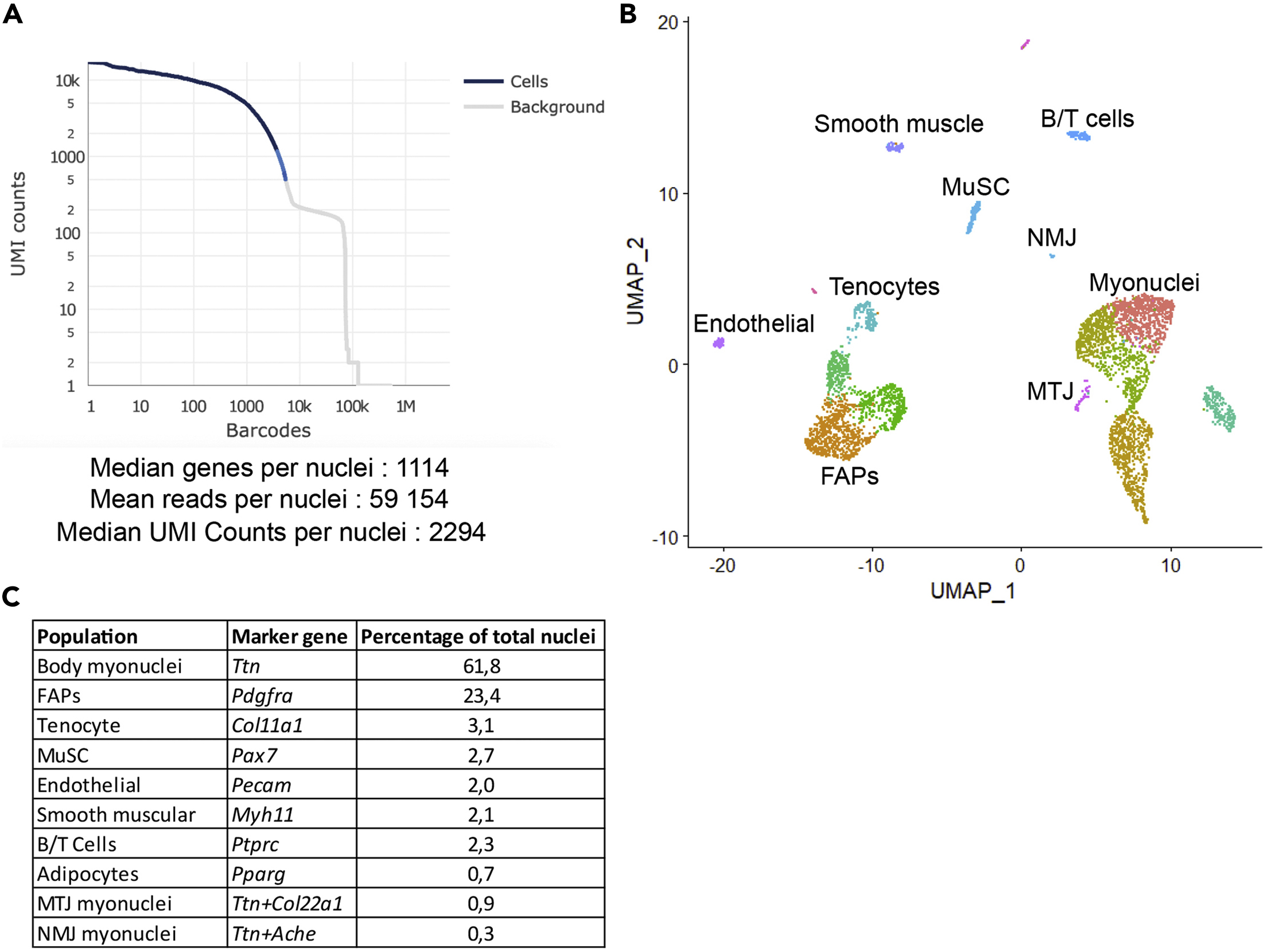 Cell Press: STAR Protocols