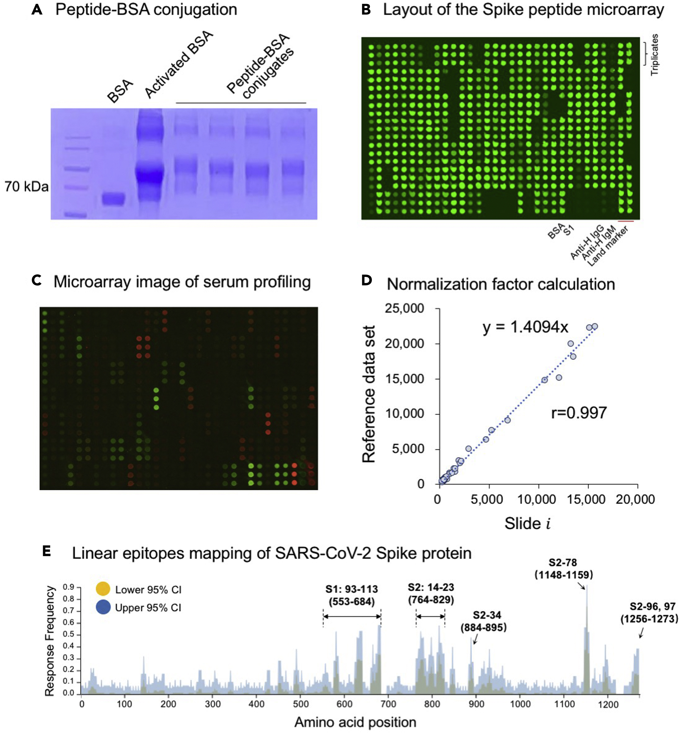 Cell Press: STAR Protocols