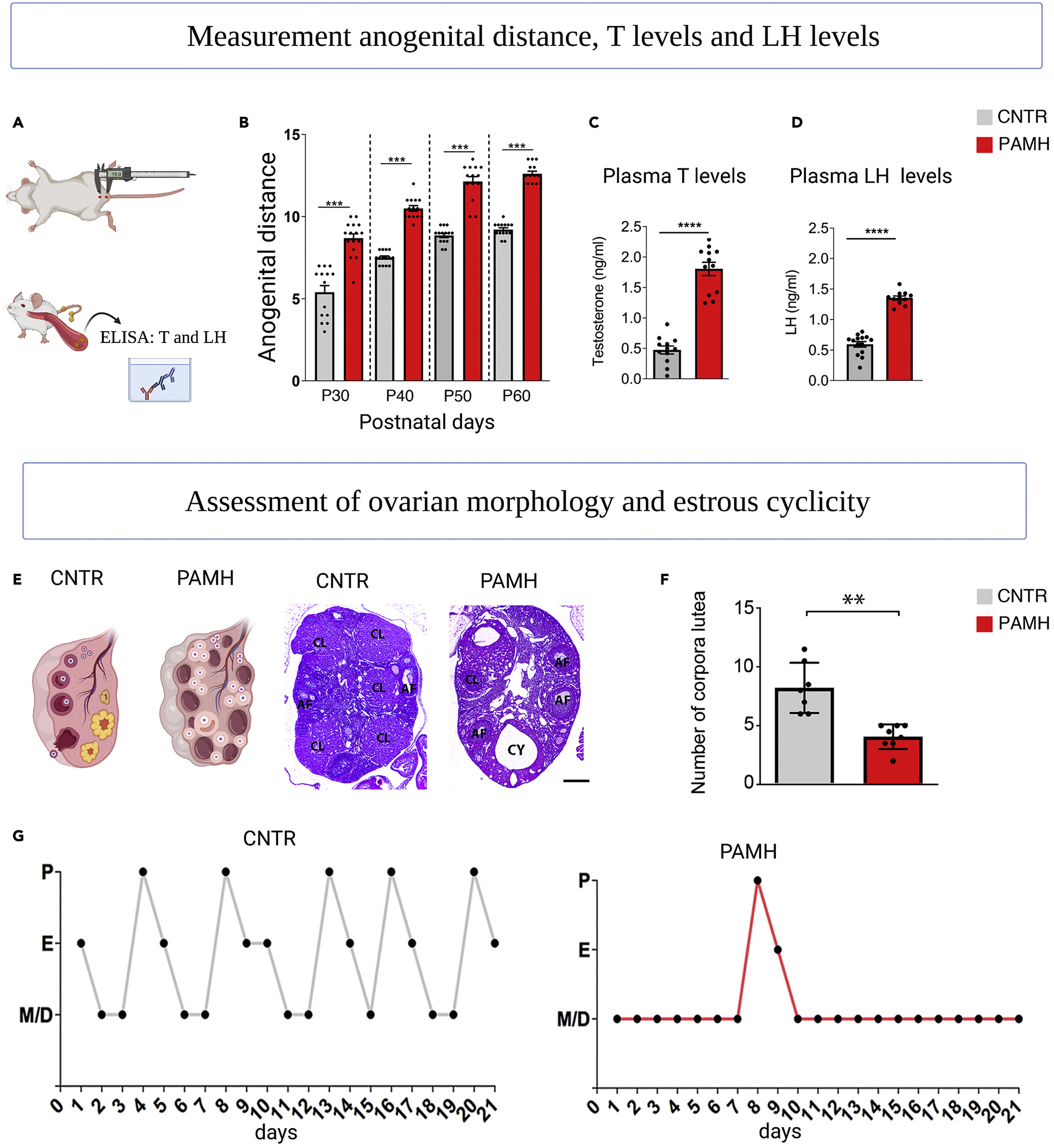 Cell Press: STAR Protocols
