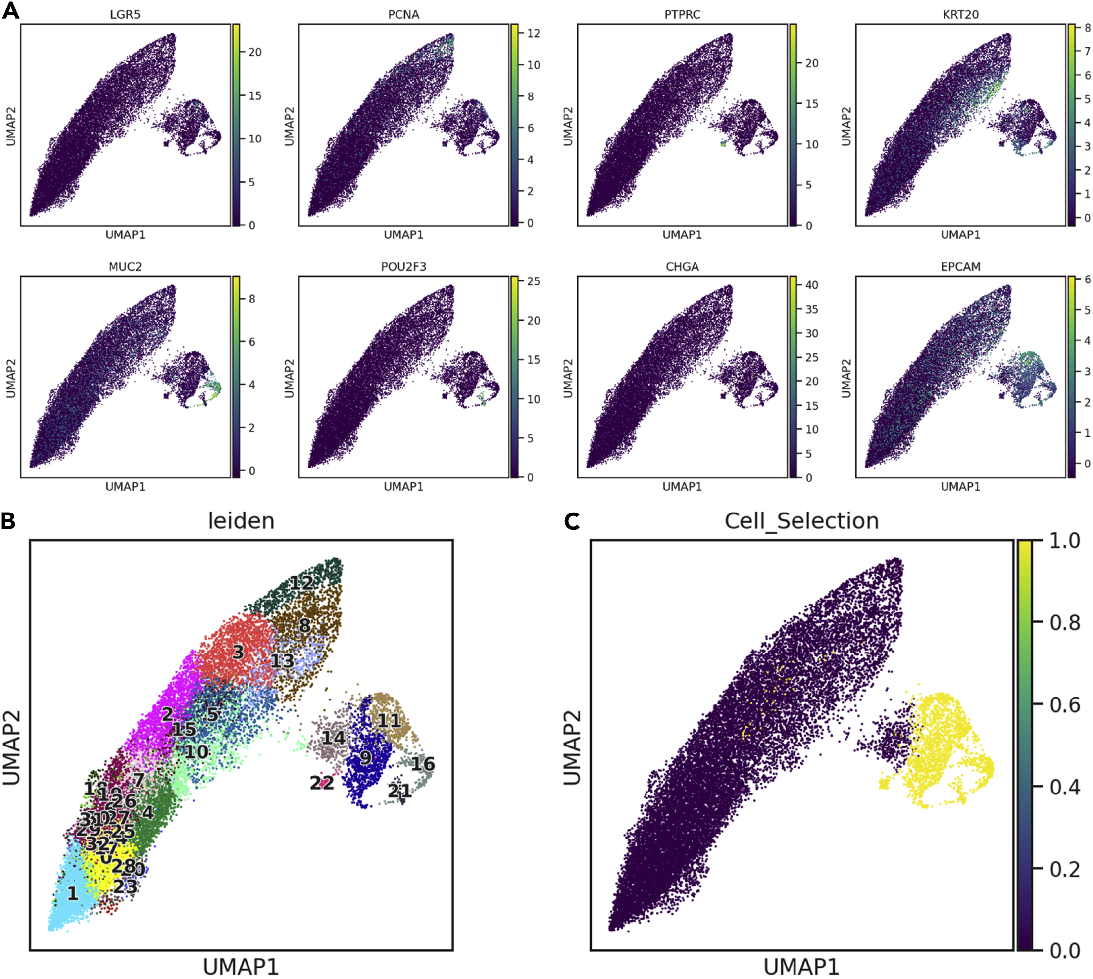 Cell Press: STAR Protocols