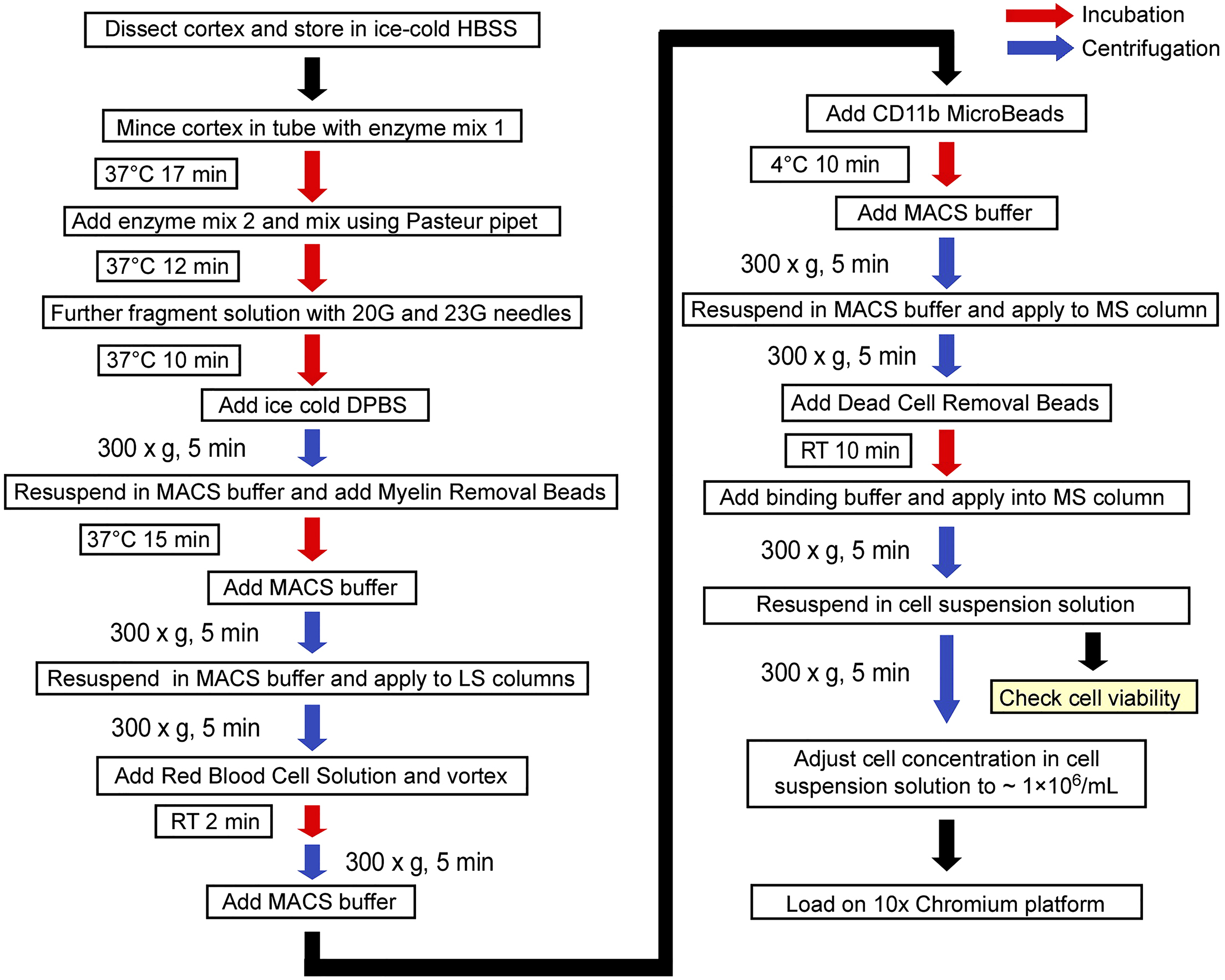 Cell Press: STAR Protocols