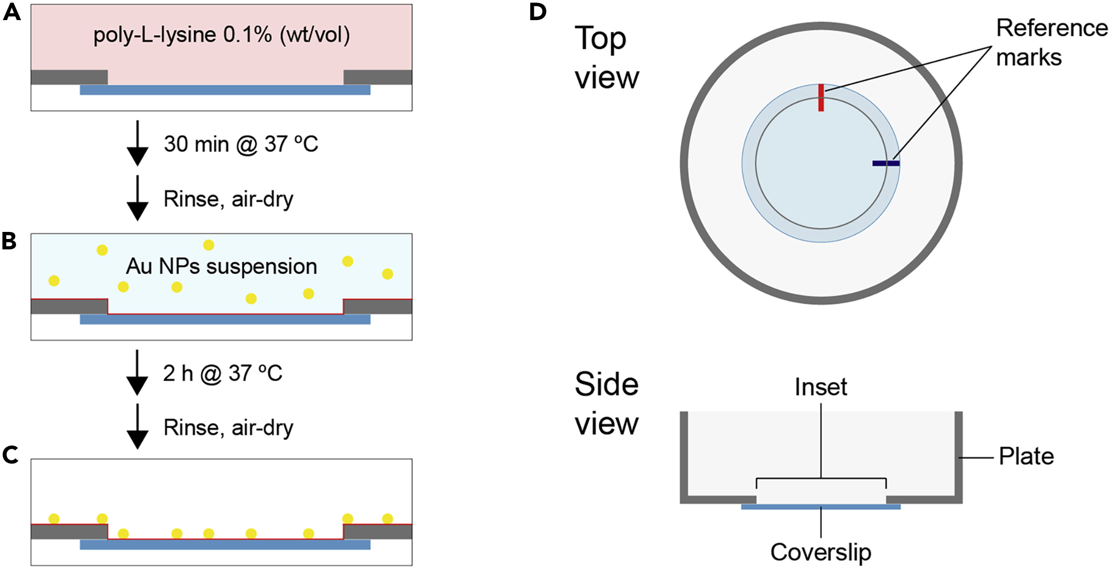 Cell Press: STAR Protocols