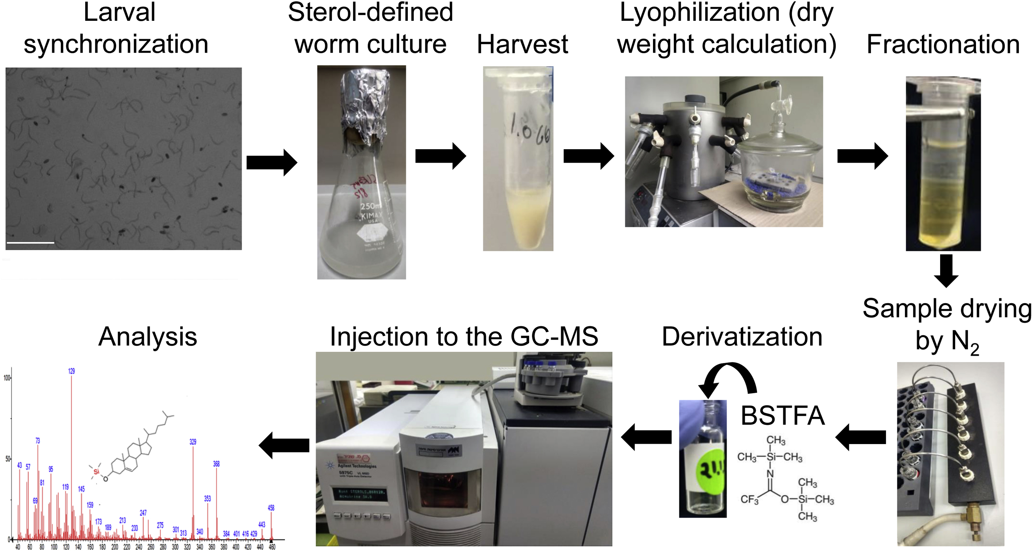 Cell Press: STAR Protocols