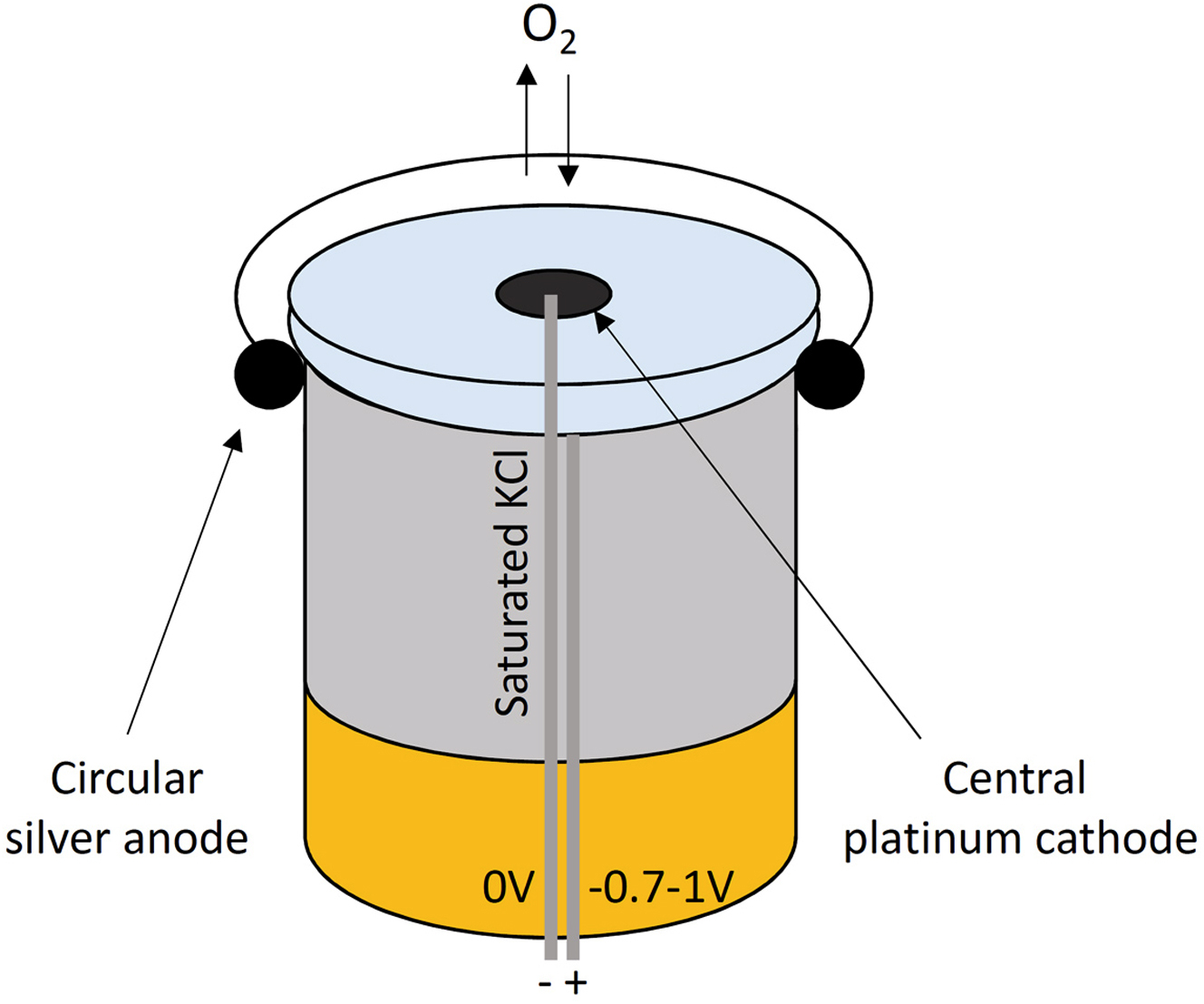 Cell Press: STAR Protocols
