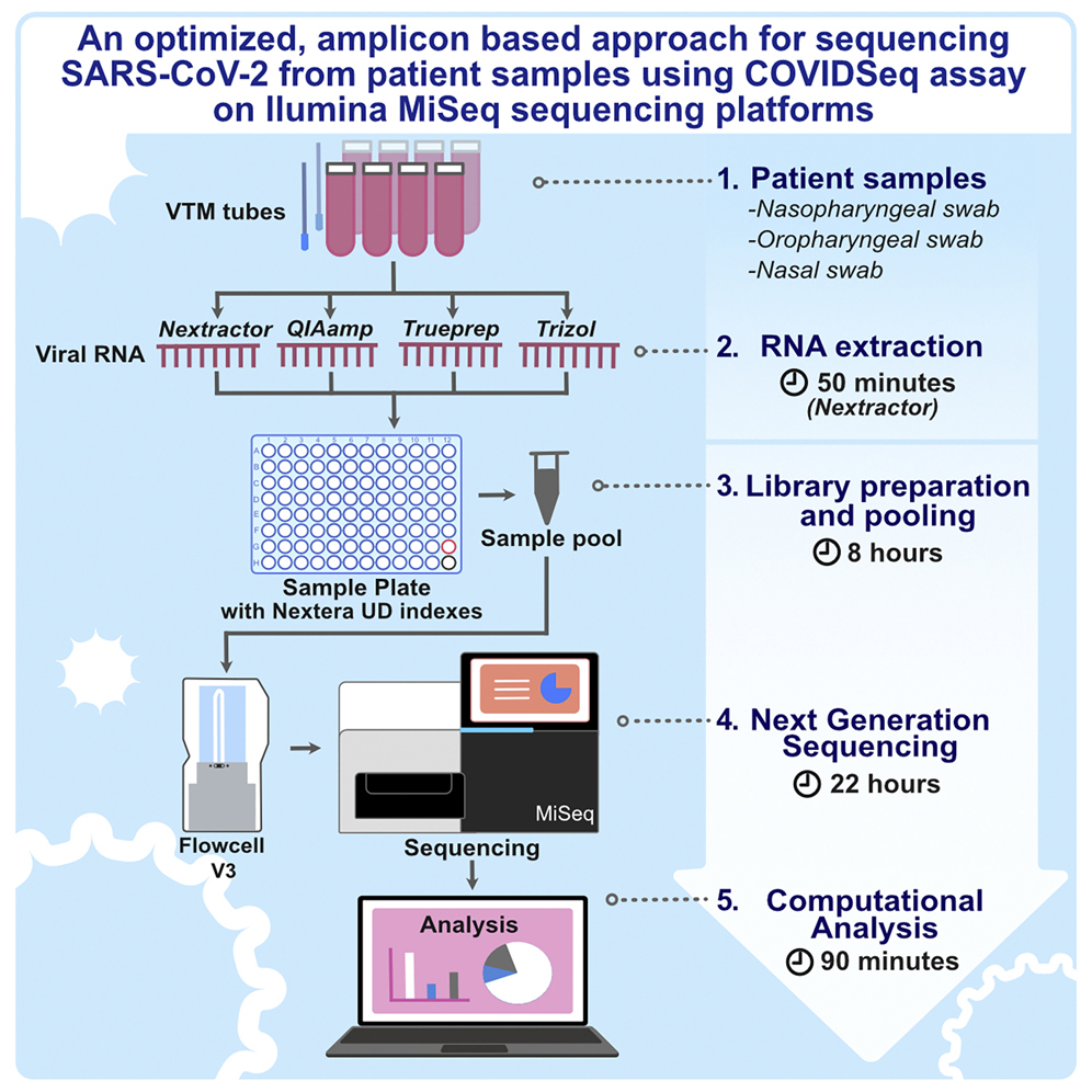 Cell Press: STAR Protocols