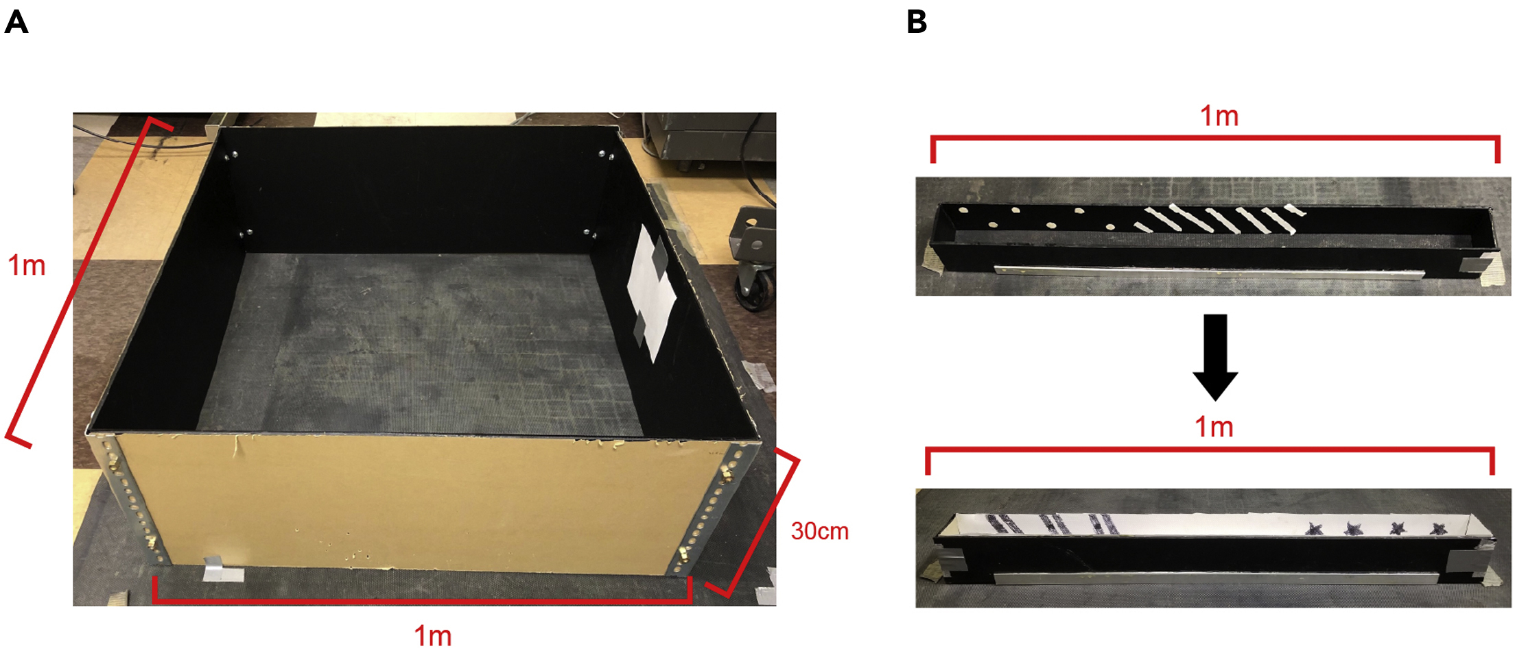 Cell Press: STAR Protocols