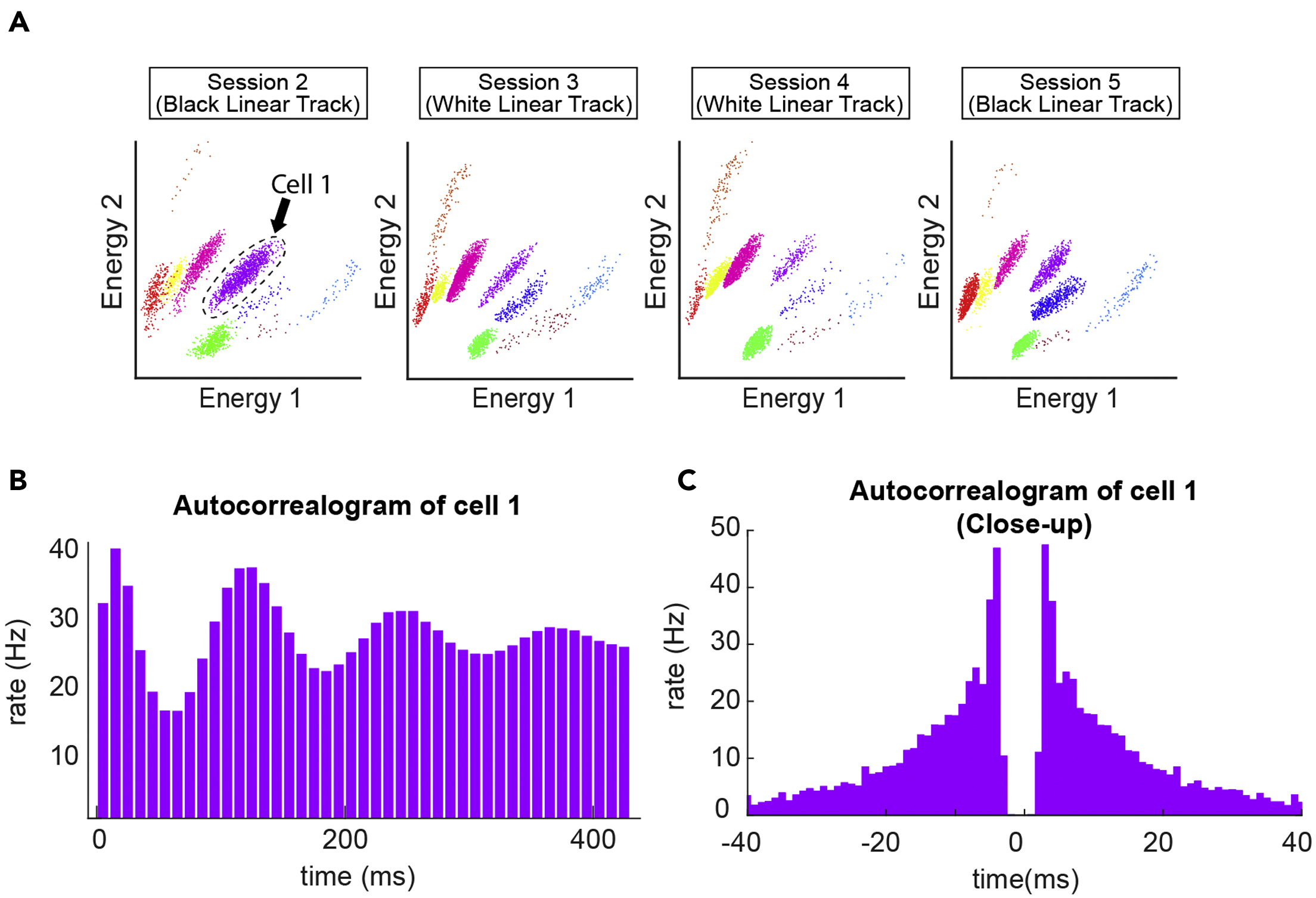Cell Press: STAR Protocols