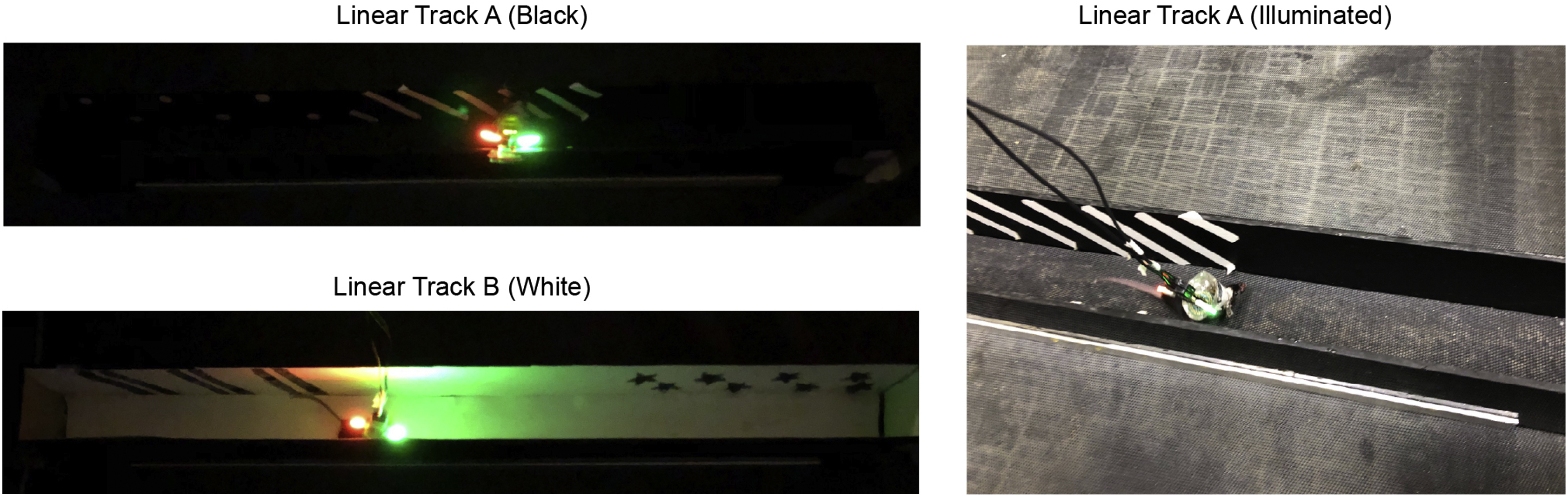 Cell Press: STAR Protocols