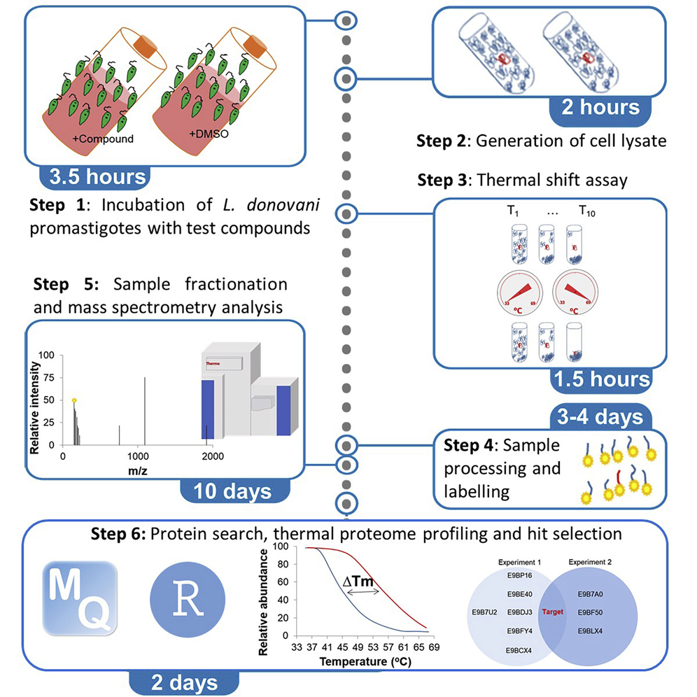 Cell Press: STAR Protocols