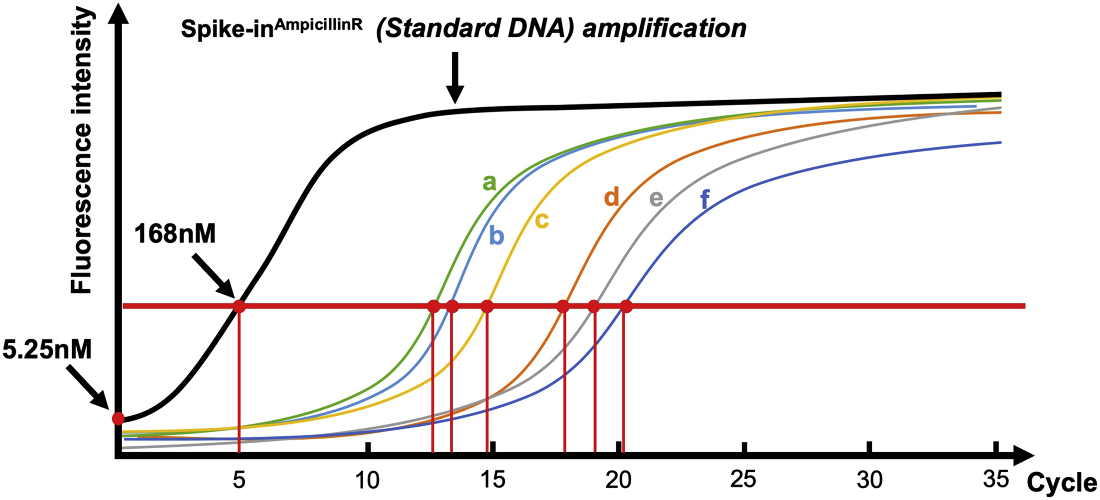 Cell Press: STAR Protocols