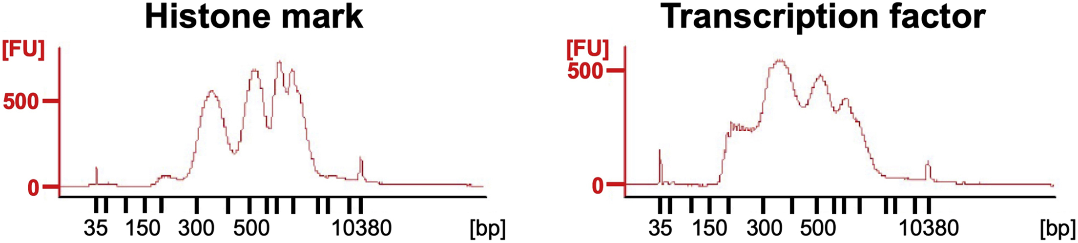 Cell Press: STAR Protocols