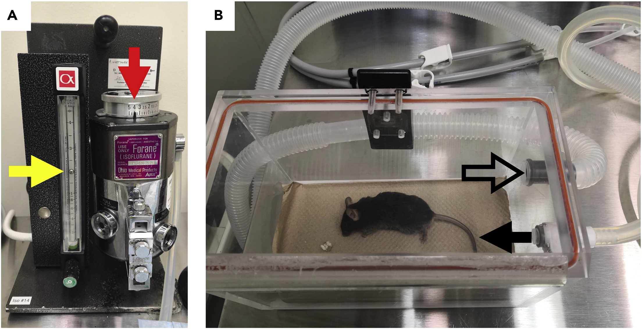 Cell Press: STAR Protocols
