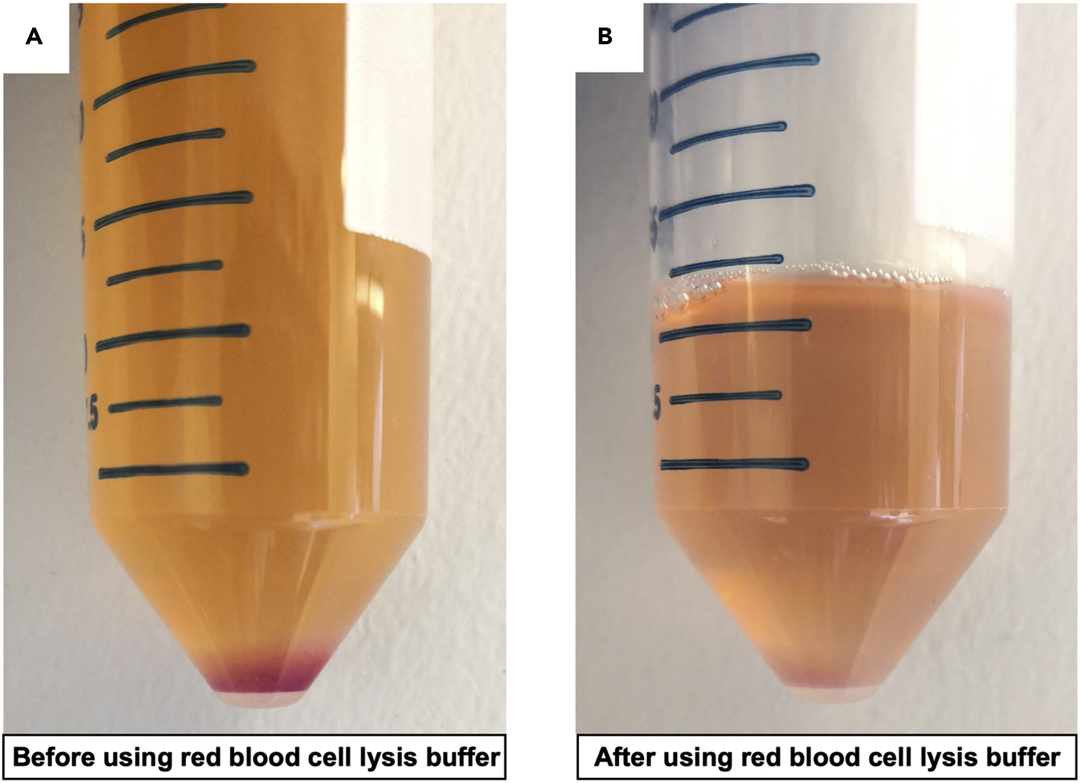 Cell Press: STAR Protocols