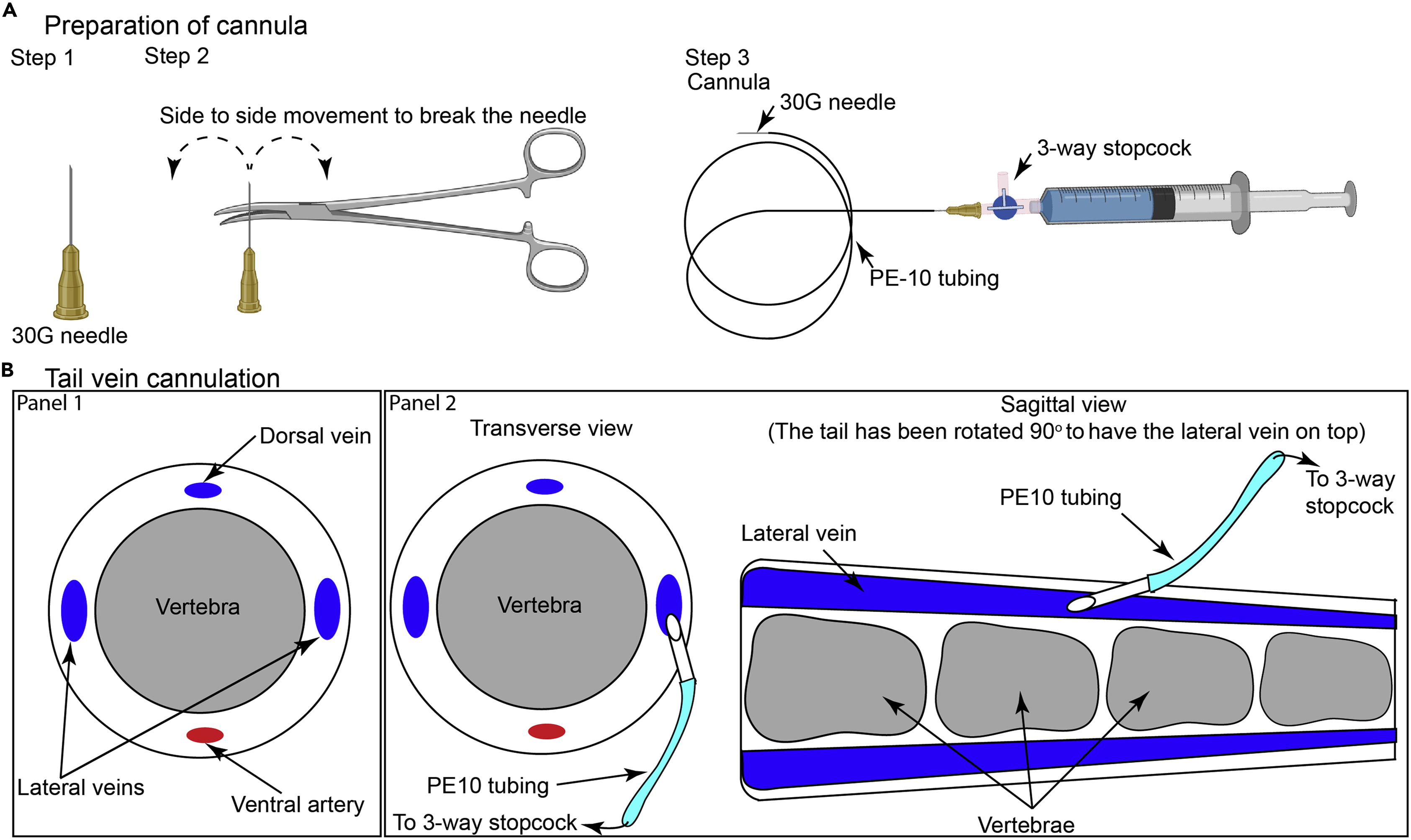 Cell Press: STAR Protocols
