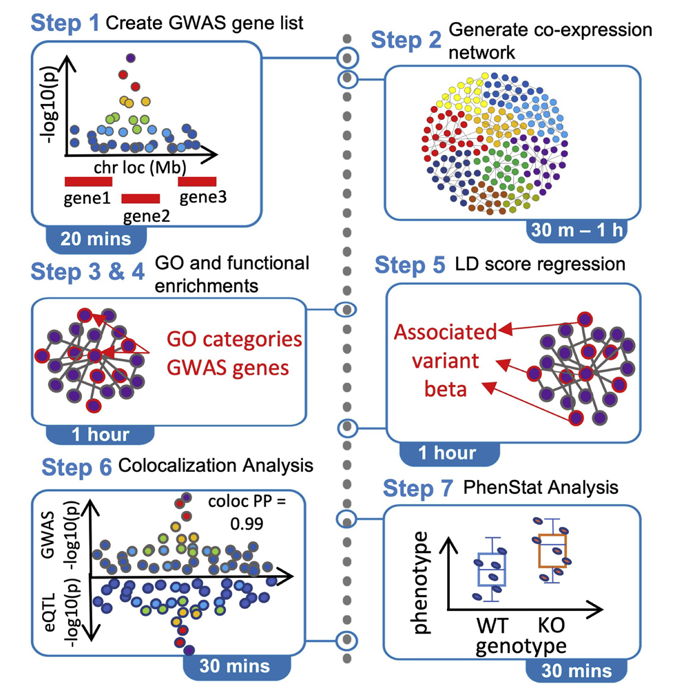 Cell Press: STAR Protocols