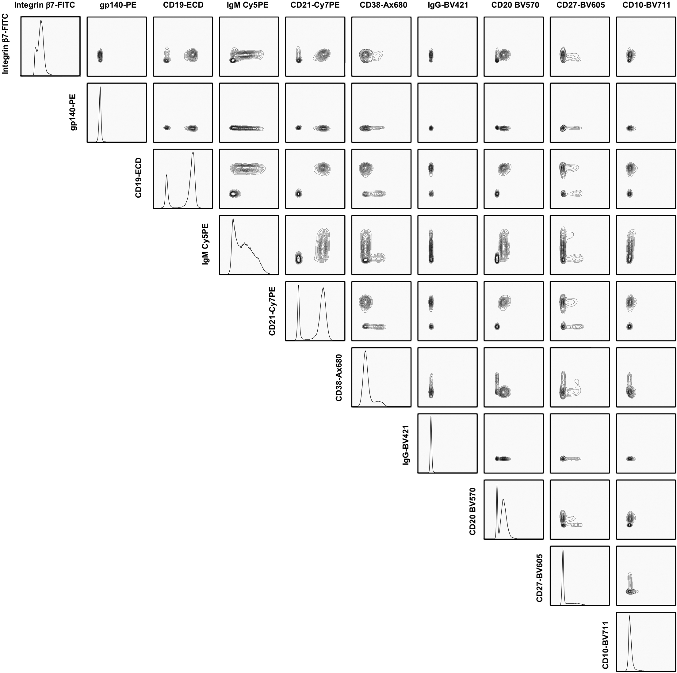 Cell Press: STAR Protocols