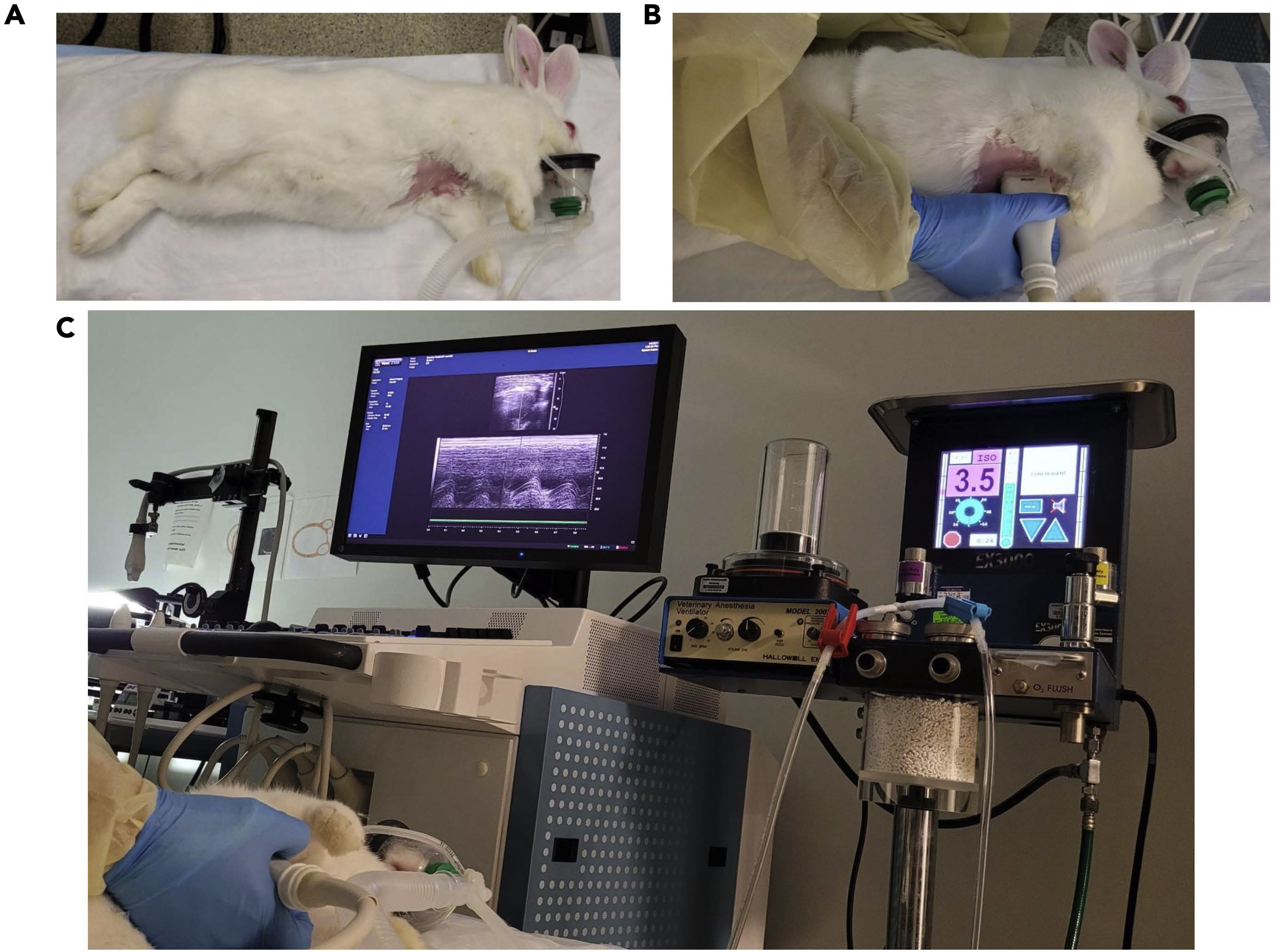Cell Press: STAR Protocols