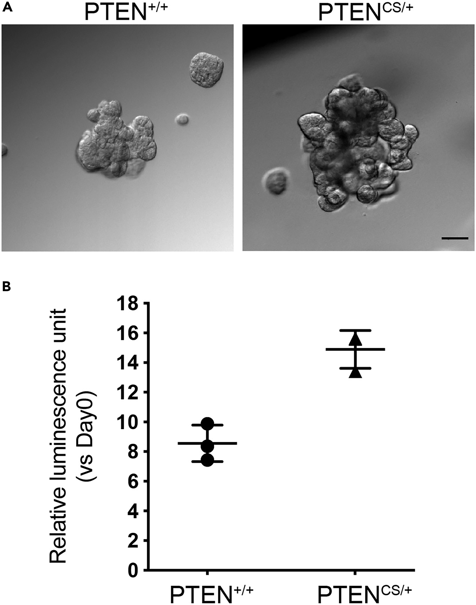 Cell Press: STAR Protocols