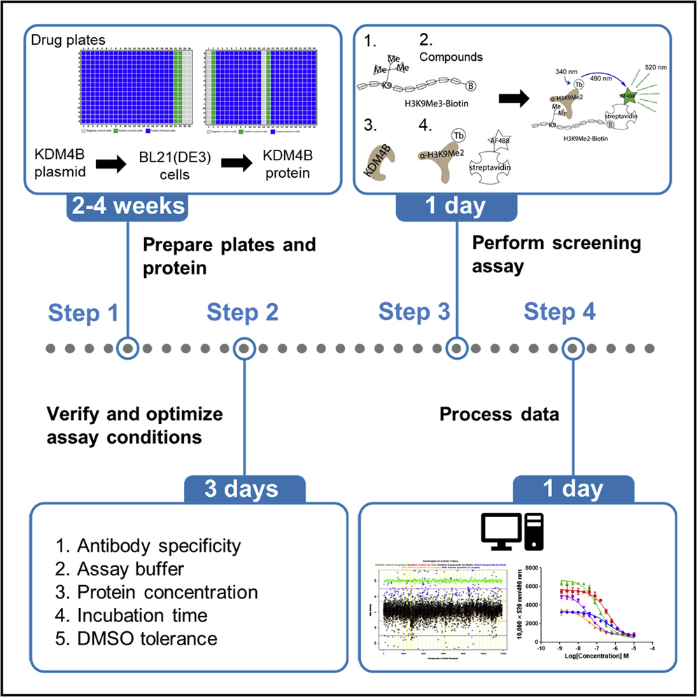 Cell Press: STAR Protocols