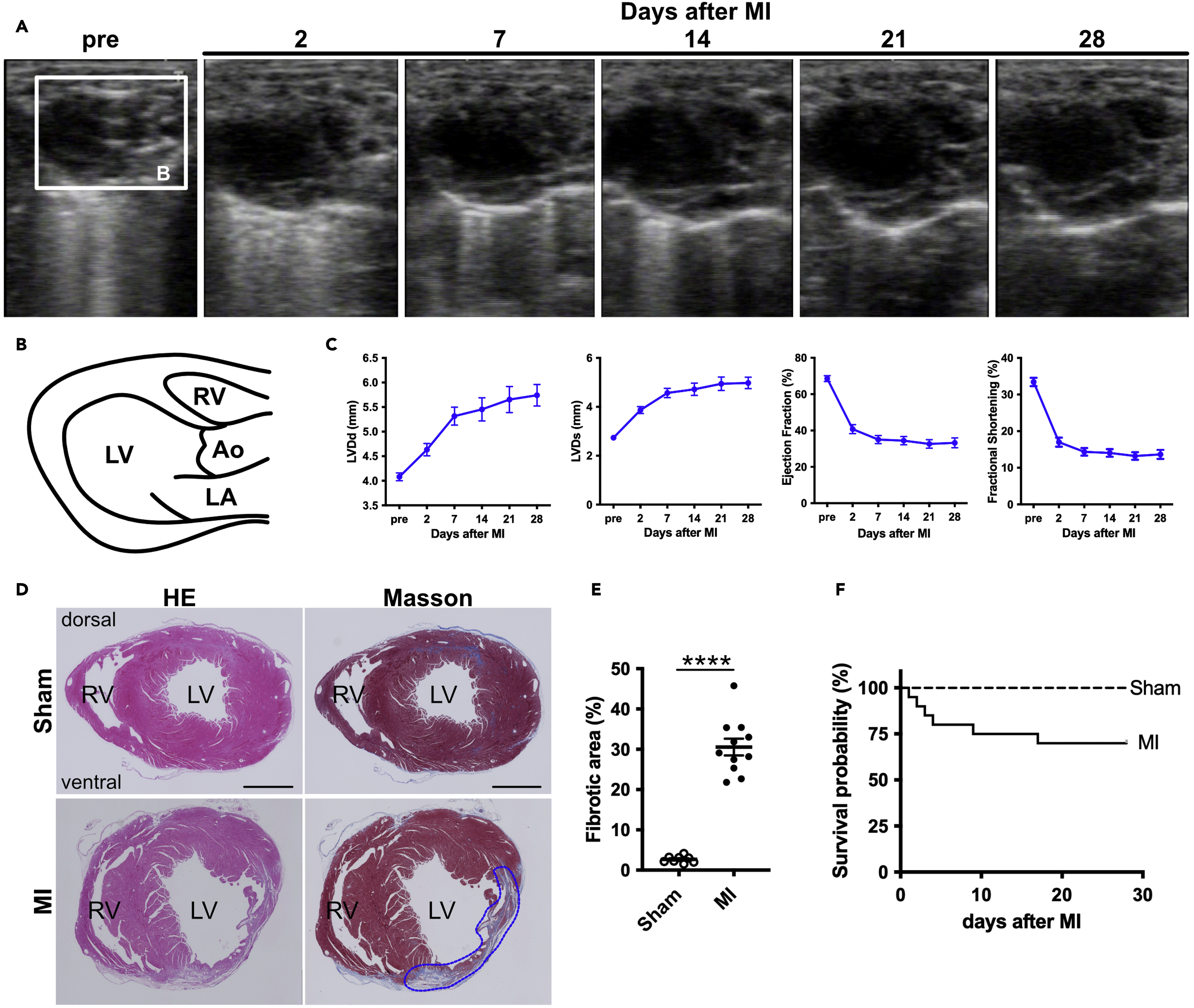 Cell Press: STAR Protocols