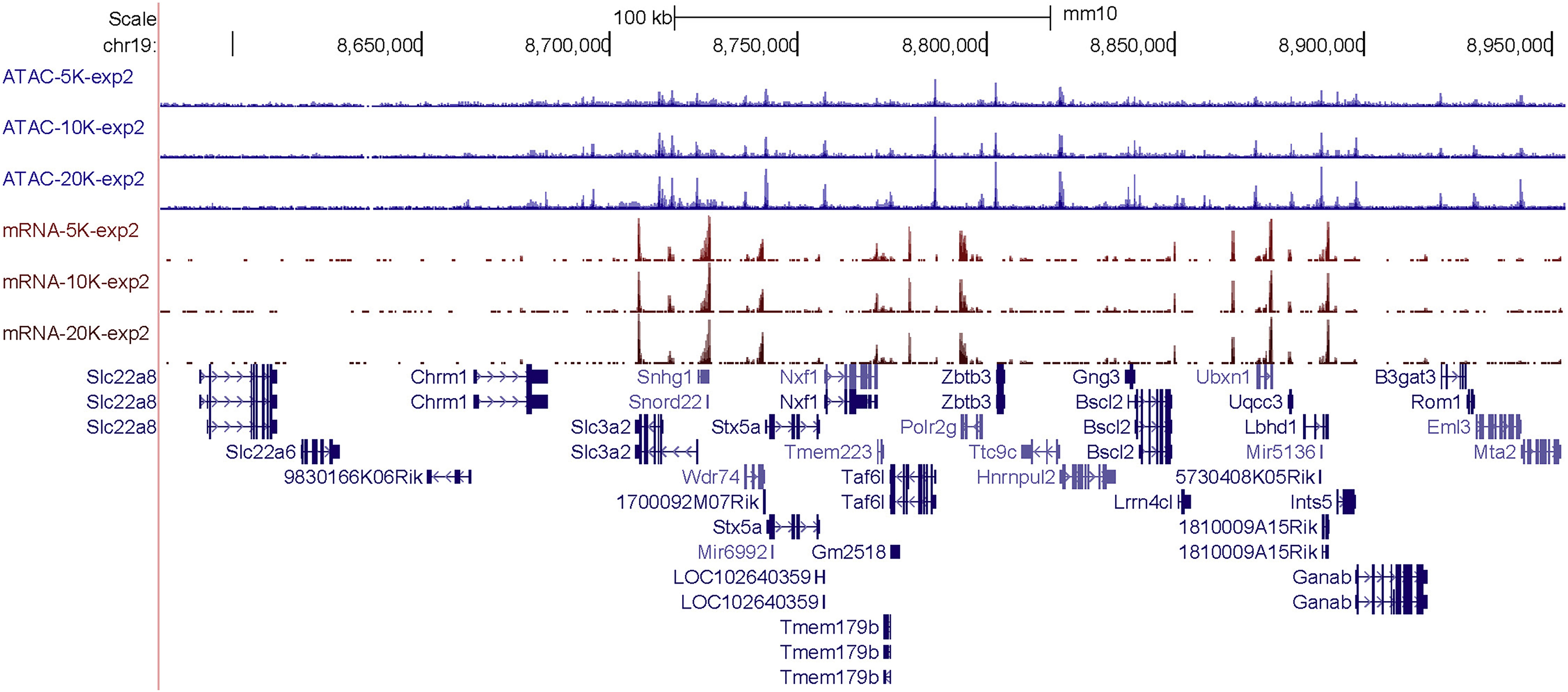 Cell Press: STAR Protocols