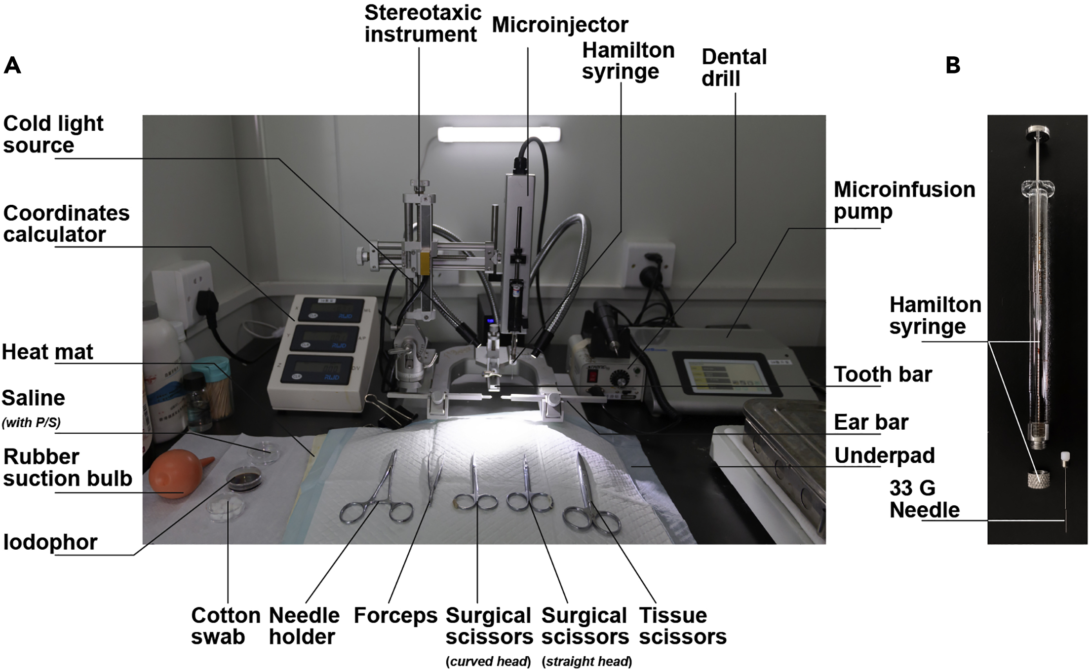 Cell Press: STAR Protocols