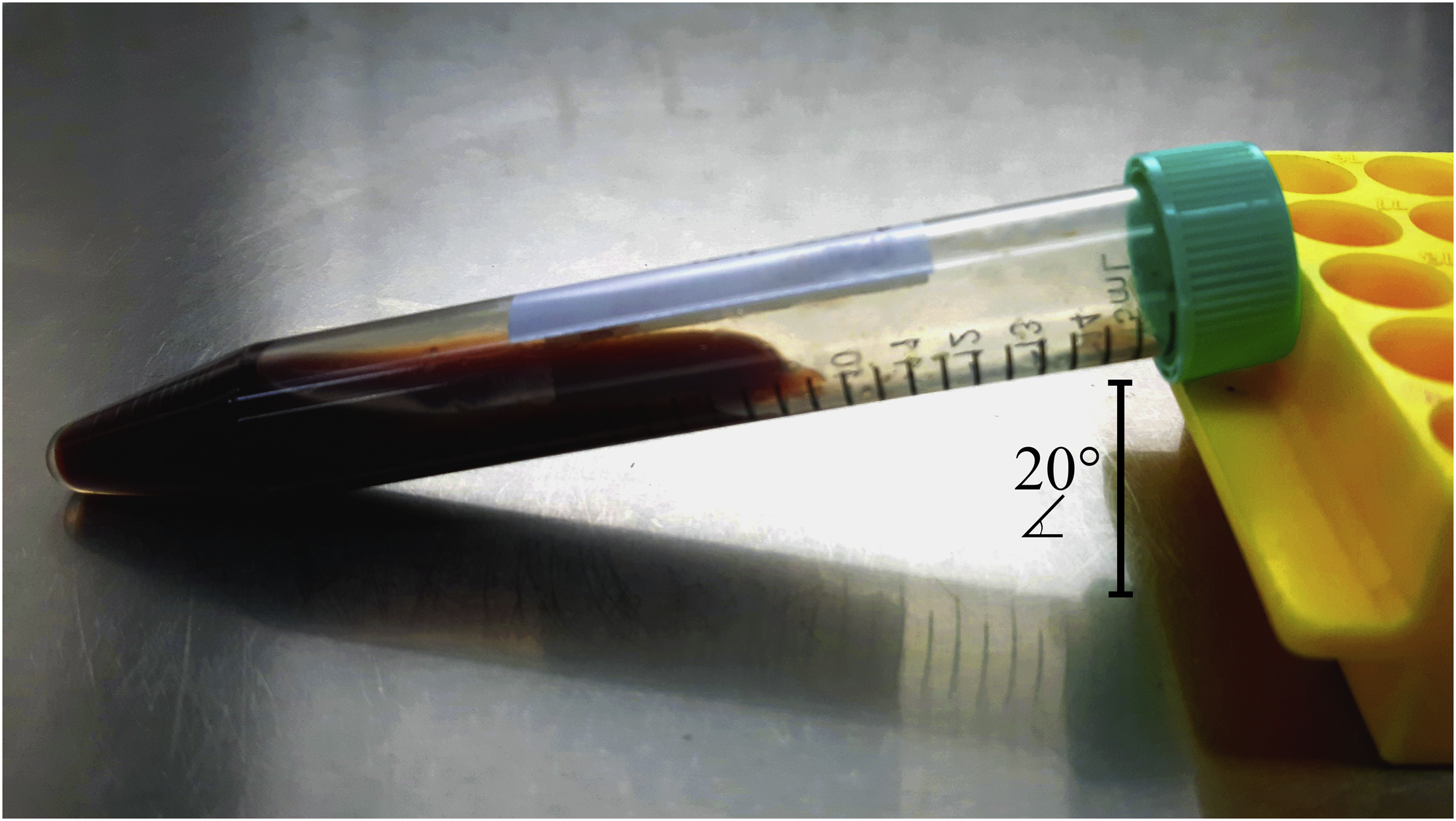 Cell Press: STAR Protocols