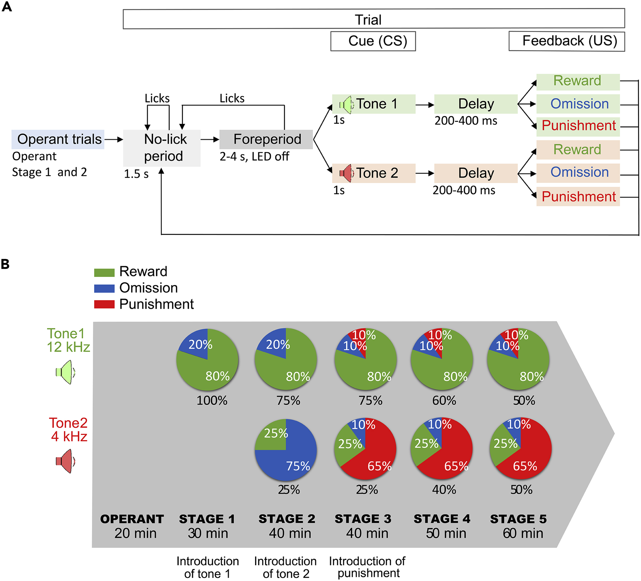 Cell Press: STAR Protocols