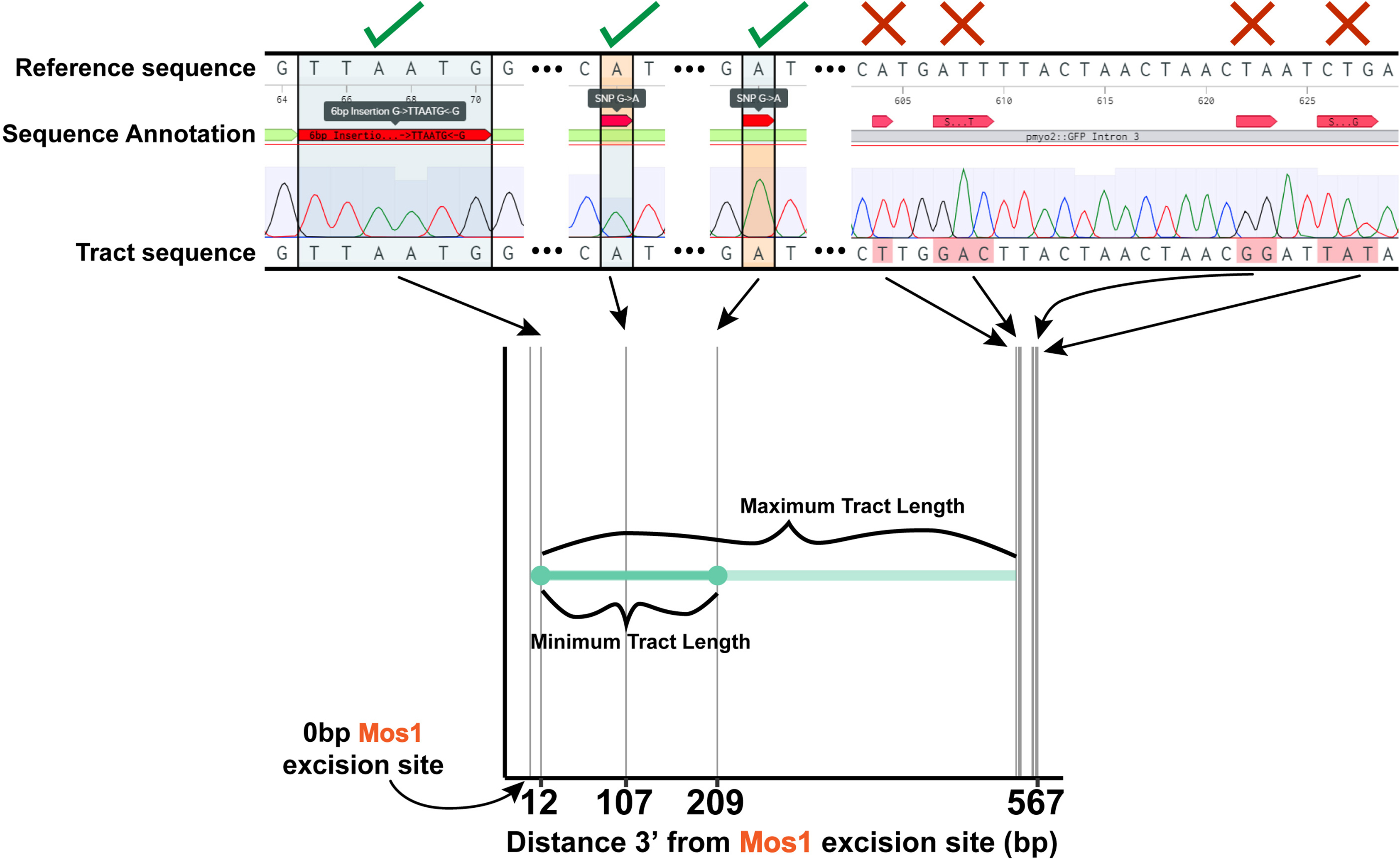 Cell Press: STAR Protocols