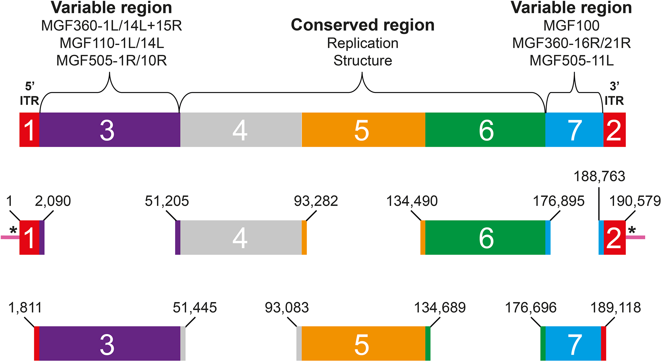 Cell Press: STAR Protocols