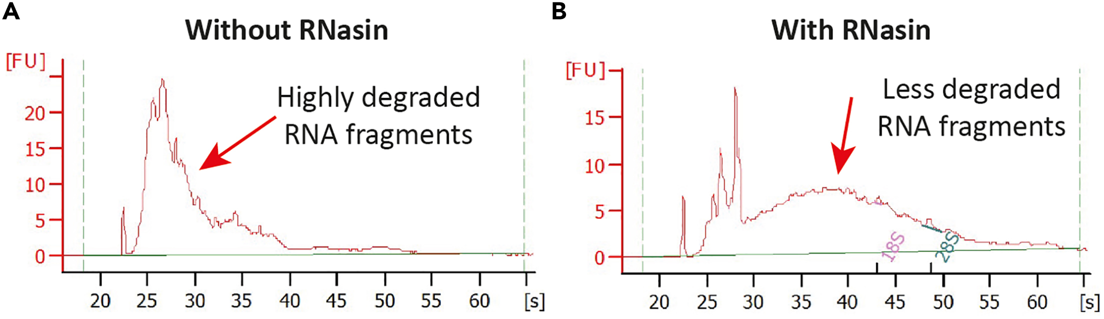 Cell Press: STAR Protocols