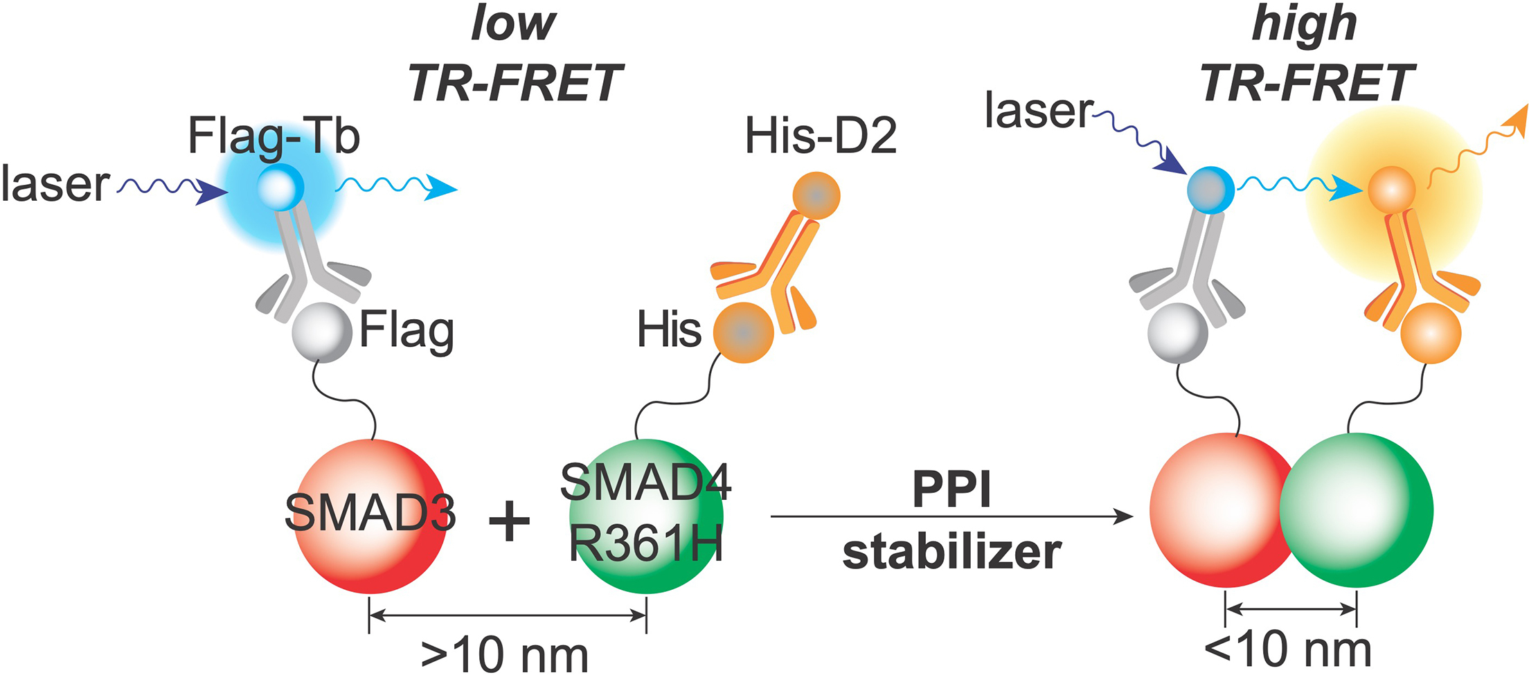 Cell Press: STAR Protocols