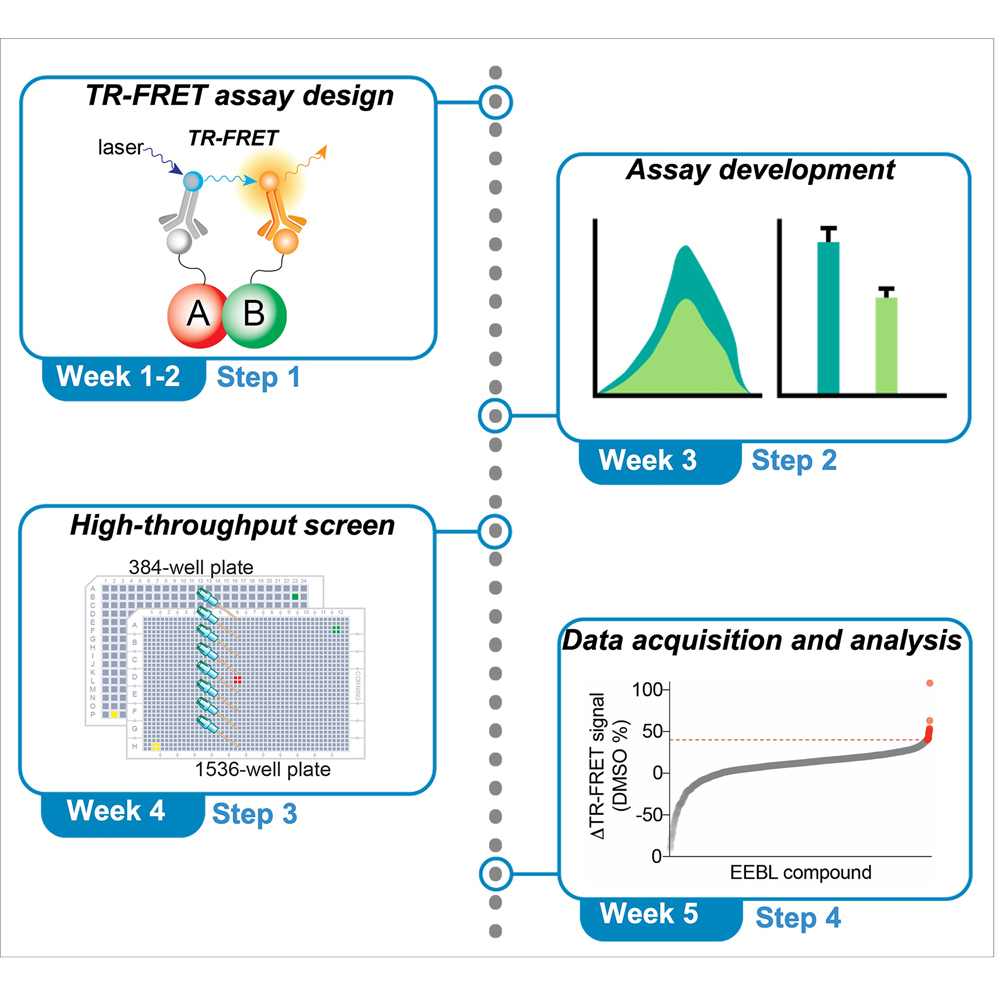 Cell Press: STAR Protocols
