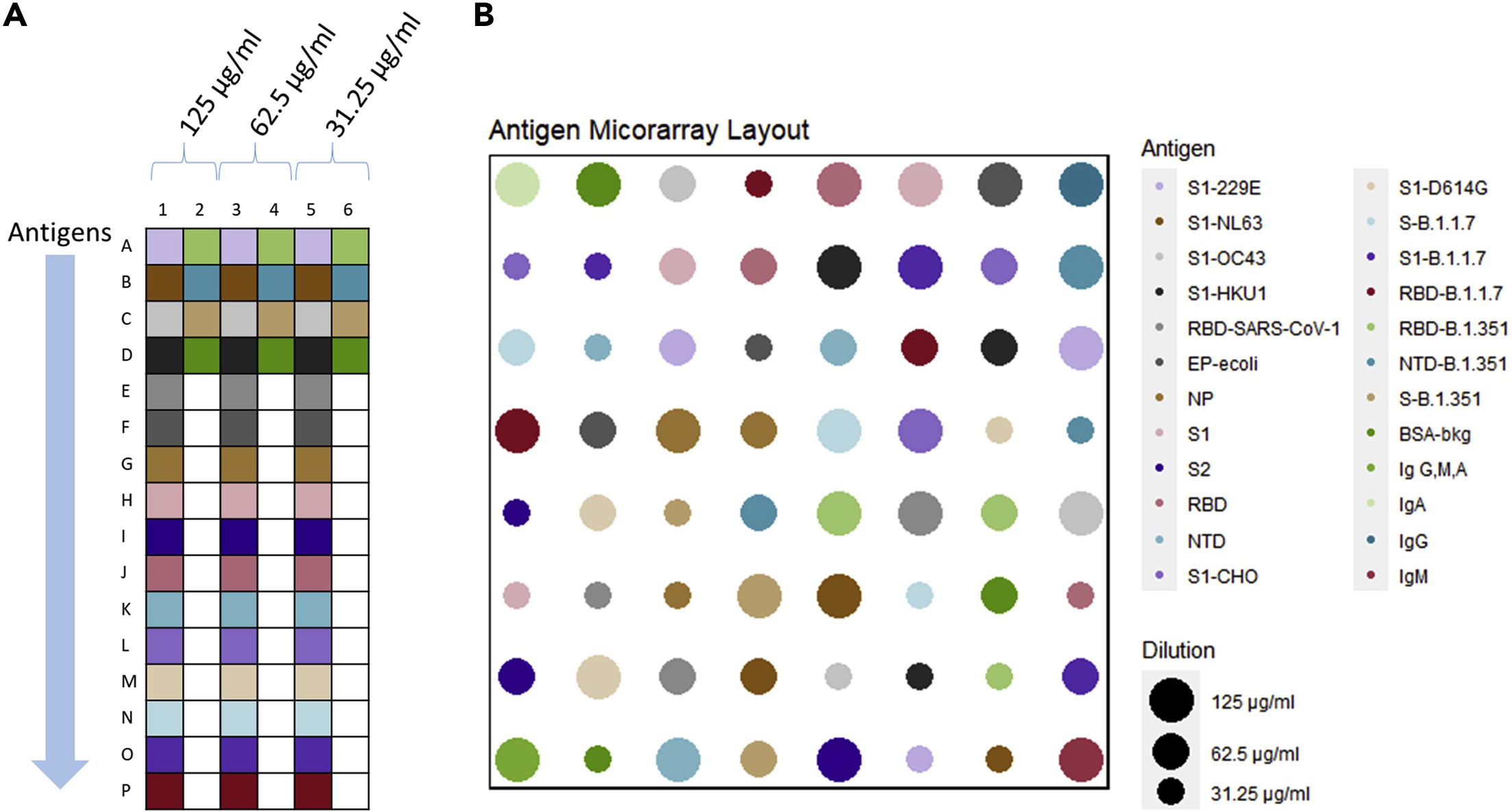 Cell Press: STAR Protocols