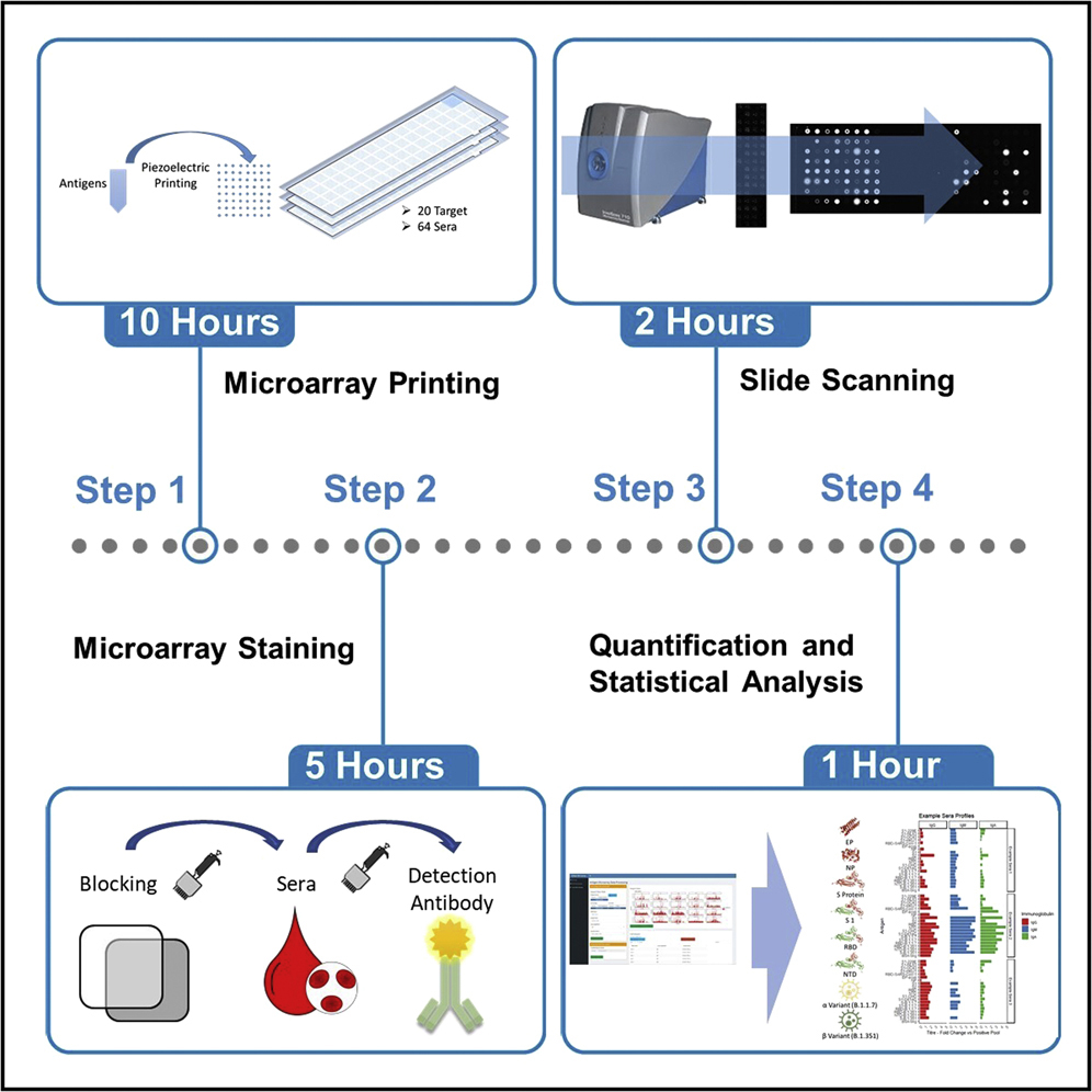 Cell Press: STAR Protocols
